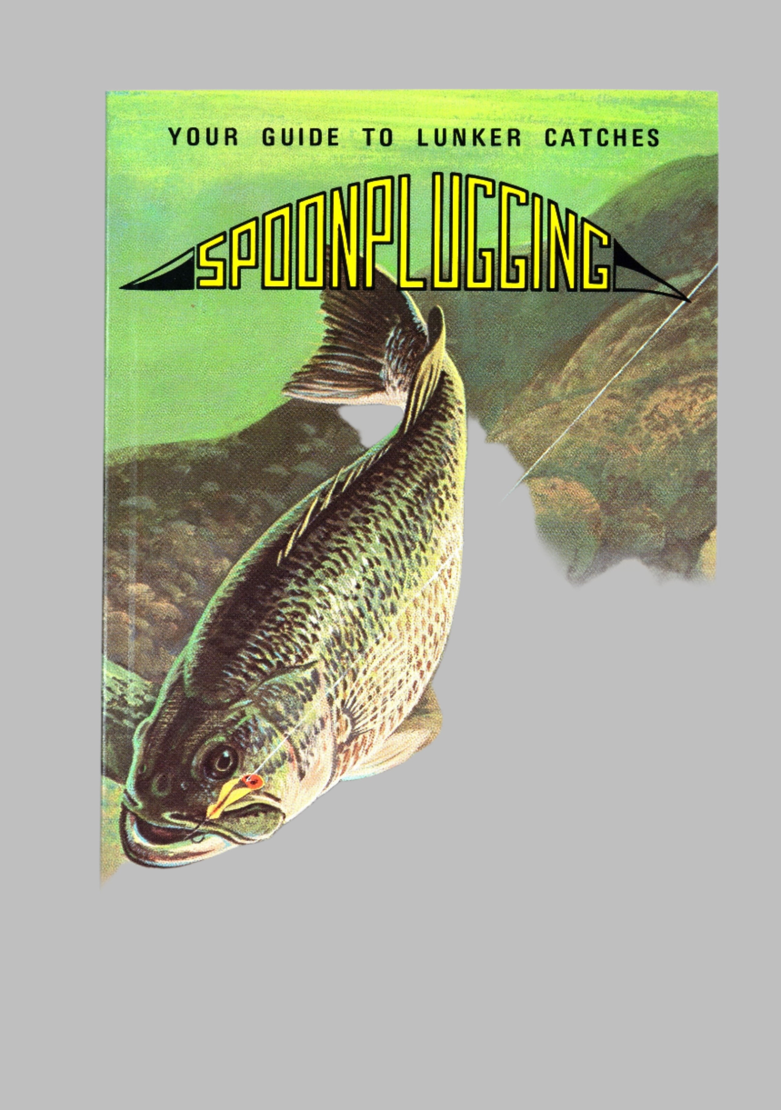 Spoonplugging - your Guide to Lunker Catches - Soft Cover Edition ...